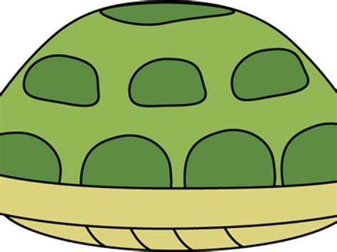 Turtle Hiding In Shell Clipart 10 Free Cliparts Download Images On Clipground 2025