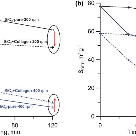 The Tg And Dta Curves For The Sio2collagen Biocomposites Milled At