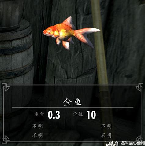 上古卷轴5十周年钓鱼大全 卷1任务鱼代码 哔哩哔哩