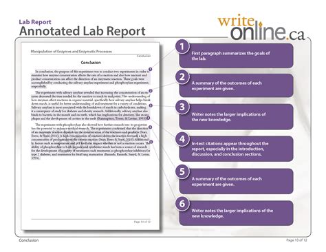 Write Online Lab Report Writing Guide Parts Of A Lab Report With Regard