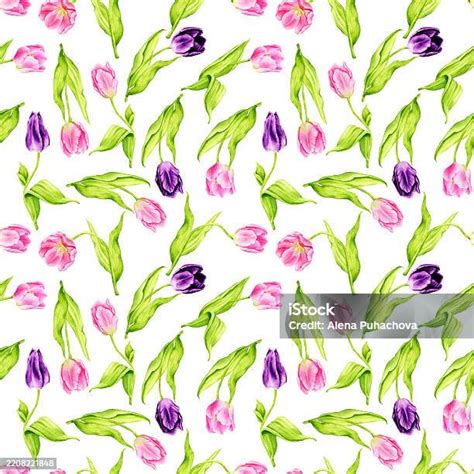 흰색 배경에 봄 꽃이 있는 완벽 한 패턴입니다 섬세한 수채화 튤립 봄 어머니의 날 부활절 여성의 날 생일 카드 포스터 포장지 벽지의 배경 0명에 대한 스톡 벡터 아트 및
