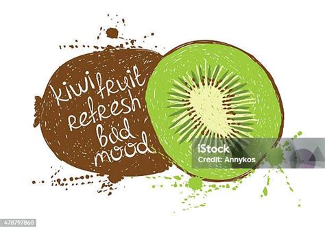 일러스트레이션 격리됨에 초록색입니다 브라운 키위 후르트 실루엣 2015년에 대한 스톡 벡터 아트 및 기타 이미지 2015년 감귤류 과일 개념 Istock