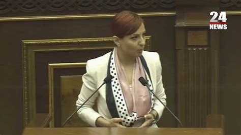 Իմ դեմքին շպրտած պոպուլիստ բառը չկոծկեց ձեր դիլետանտությունը․ Սամսոնյանը՝ Պապոյանին Youtube