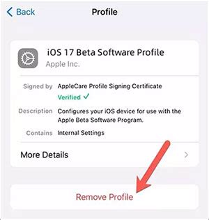 Full Guide How To Remove IOS Beta On IPhone IPad