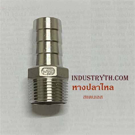 หางปลาไหล Sus สแตนเลส