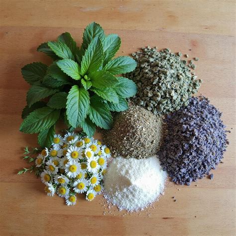 Make Your Own Herbal Tea Blends Moms Meals