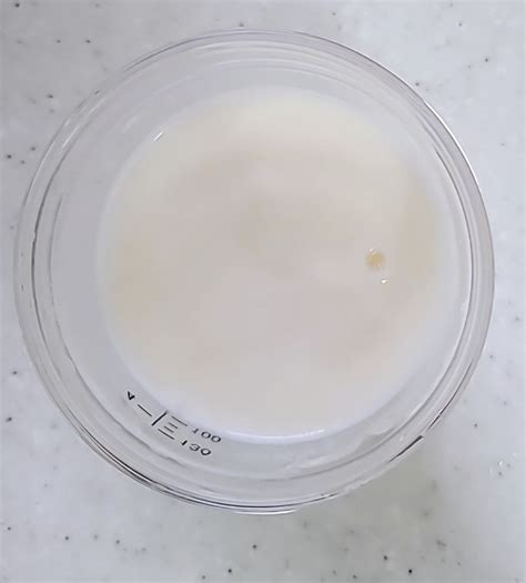 아기간식 파스퇴르 무항생제 우유로만든 아기우유푸딩