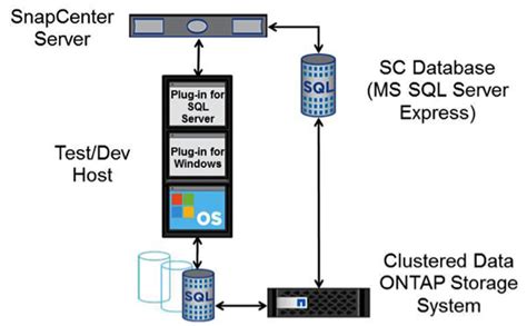 Netapp Snapcenter Software Easing The Path To Data Protection Netapp