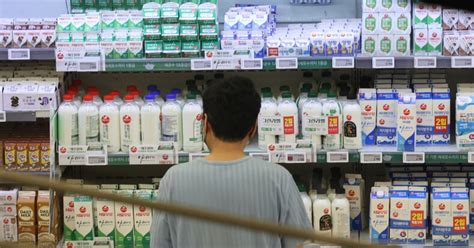 우윳값 오르자 값싼 멸균우유 대량구매…카페 사장들은 고민