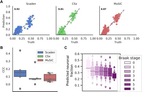 Deconvolution Performance Comparison On Brain Tissue Rna Seq Data A