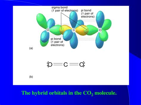 Covalent Bonding Orbitals Ppt Download