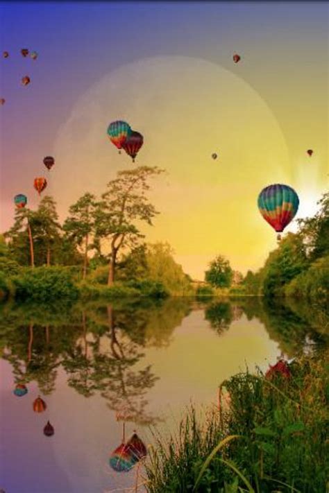 Forest Pond Free Apk For Android Download