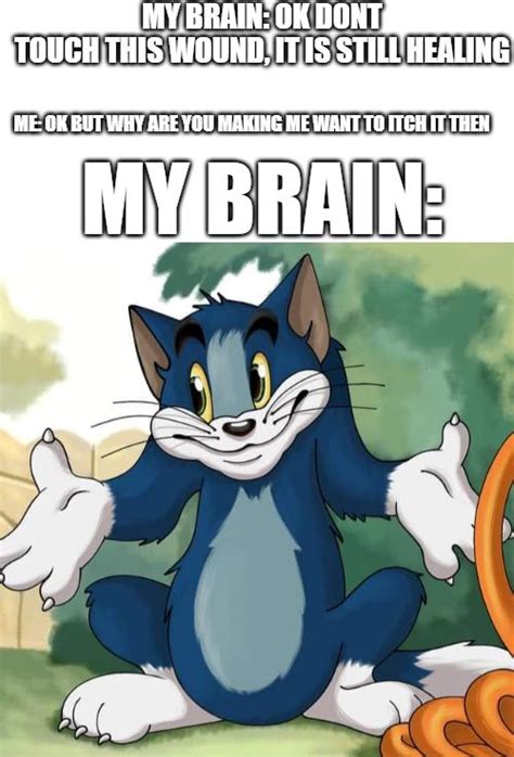 Why Are All The Font Sizes Different Scrolller