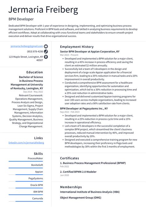 BPM Developer Resume Examples And Templates ResumeCat