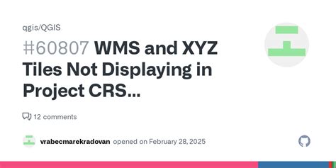 Wms And Xyz Tiles Not Displaying In Project Crs Epsg5514 After Updating Qgis · Issue 60807