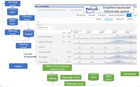 Sap S Simplified Data Model Represents A Paradigm Shift For Sap Trade Management Architecture