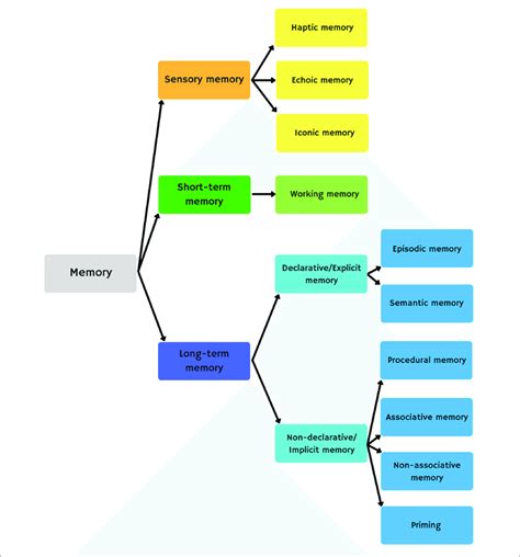 memory classification download scientific diagram