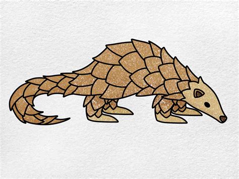 How To Draw A Pangolin Helloartsy