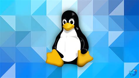 Seadve • Best Linux Distros For Beginners In 2021