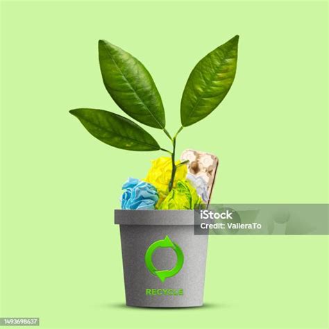 구겨진 종이와 나뭇잎이 있는 나뭇가지 쓰레기통에 있습니다 녹색 배경입니다 쓰레기 분류 개념입니다 재활용 생태학 사무실에 대한 스톡 사진 및 기타 이미지 Istock