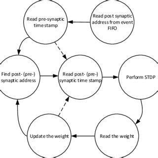 Sequence Of STDP Operations Download Scientific Diagram