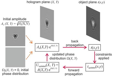Iterative Reconstruction Scheme H 0 X Y Is The Normalized Hologram Download Scientific