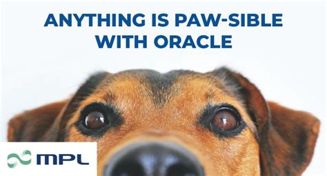 Redfaire On Linkedin Jdedwards Oracleai Redfaireinternational