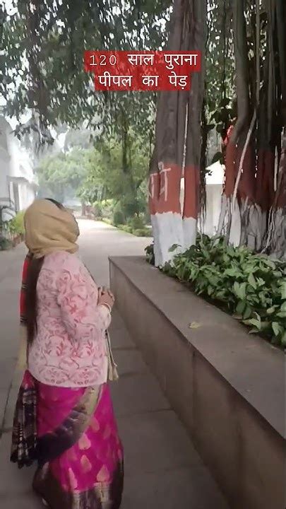120 पुराना बरगद का पेड़ Trending Trending Viral Lovemarriage Love