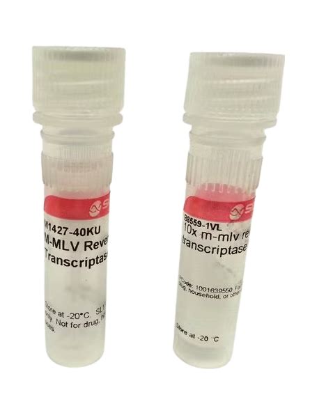 M Mlv Reverse Transcriptase