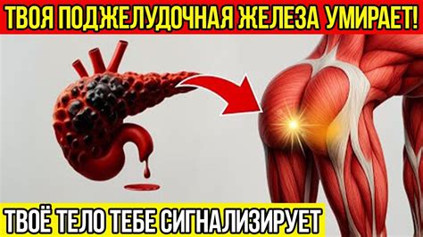 Восемь Ранних Симптомов Рака Поджелудочной Железы 🚨 Не Игнорируйте Их Youtube