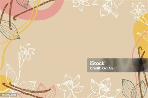 바닐라 라벨 템플릿 배경 텍스트 꽃과 막대기 바닐라 식물 벡터 일러스트 레이 션 포드 향기로운 향신료 상표를 위해 향미료 포장 카드 기치 손으로 그린 추상 디자인 가지 식물