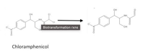 TOX MIDTERM Flashcards Quizlet TOX MIDTERM Flashcards Quizlet