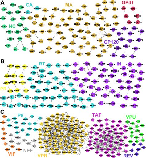 Coevolution Networks Of Hiv 1 Proteins The Nodes Represent The Amino