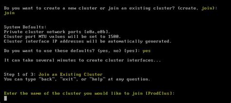 Remote Infrastructure Management Netapp Ontap 91 Cli Cluster Setup