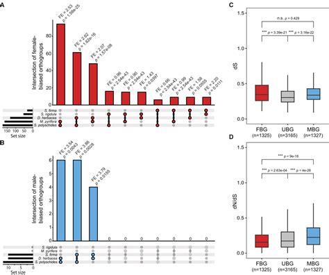 Developmental Pathways Underlying Sexual Differentiation In The Uv Sex