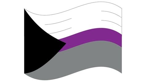 Asexual Flag Colors Meaning Order Discount Gbu