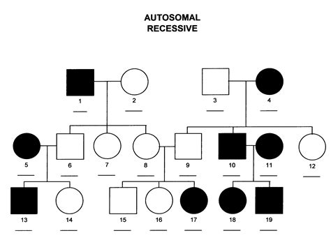 Autosomal Recessive Pedigree Chart Biology Notes Biology