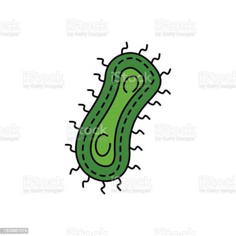 코커스 박테리아 교육 라인 아이콘 박테리아 바이러스 일러스트 아이콘의 요소 웹 로고 모바일 앱 Ui Ux에 기호 기호를 사용할 수 있습니다 개념에 대한 스톡 벡터 아트 및
