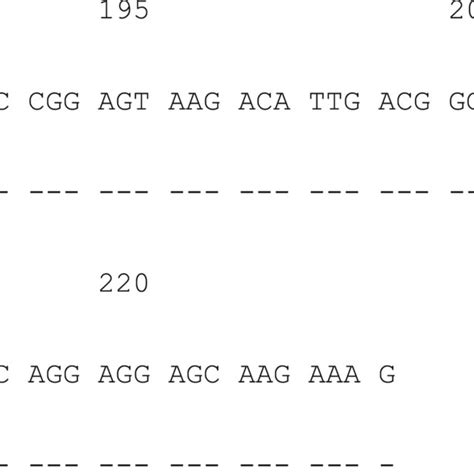 The Nucleotide Sequence A And Corresponding Amino Acid Sequence B
