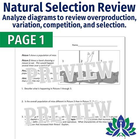 Natural Selection Worksheet Flying Colors Science