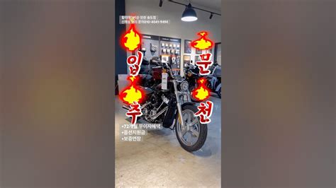 할리데이비슨 강력입문추천 소프테일스탠다드 최고가성비 Youtube