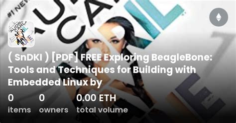 SnDKI PDF FREE Exploring BeagleBone Tools And Techniques For