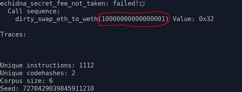Fuzzing Smart Contracts Practical Aspects Echidna