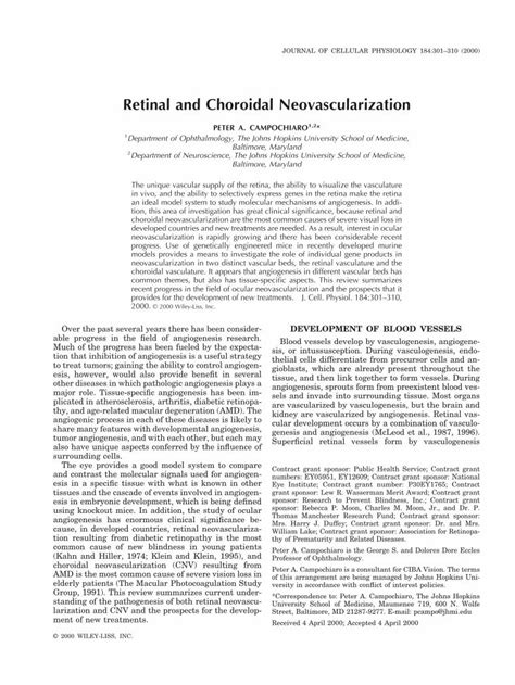 Pdf Retinal And Choroidal Neovascularization Dokumen Tips