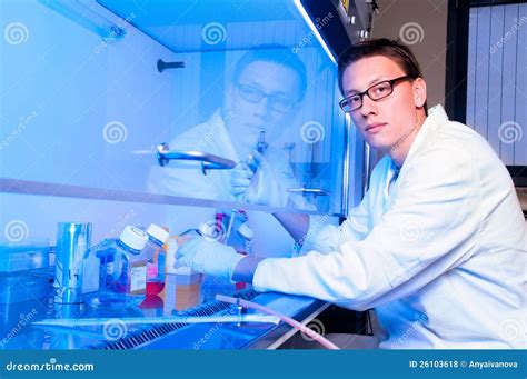 Cell Culture Work At Nancy Guzman Blog