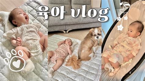 육아vlog 산후조리 알차게 하고 온😋 친정집에서 애개육아🐶 리안드림콧 포맘스 전동 바운서 대여 Youtube