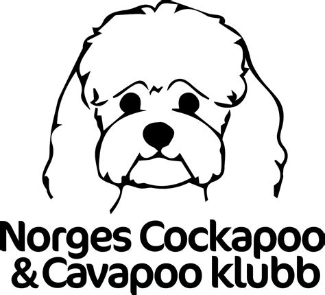 Om Cockapoo Cockapoo Og Cavapooklubben