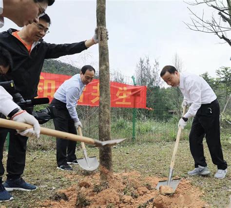 东莞市四套班子领导参加2023年全省推进绿美广东生态建设义务植树活动 植树 东莞市 广东省 新浪新闻
