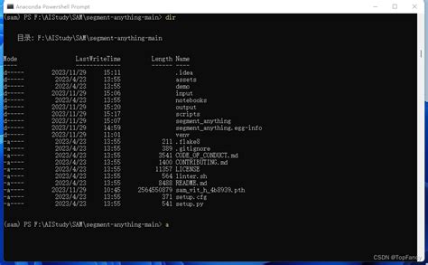 【ai】segment Anything本地部署segment Anything 本地部署 Csdn博客