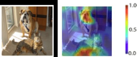 A Saliency Map Visualization For The Sample Image Sample Image Taken